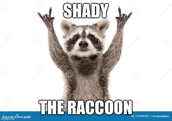 Shady the raccoon - Imgflip