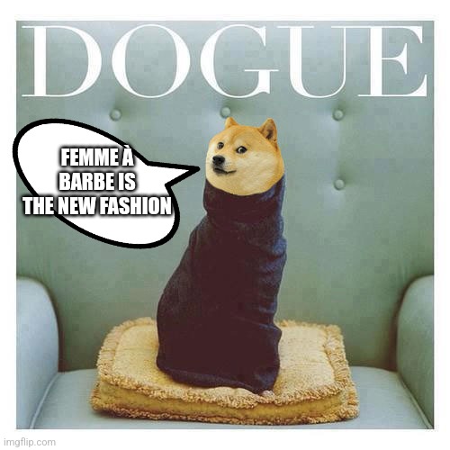 doge fashion - Imgflip