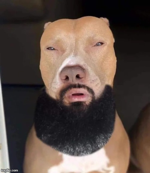 Imgflip