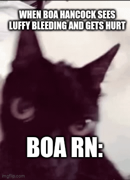 guys i can explain - Imgflip