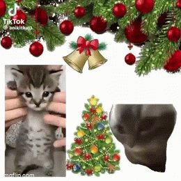 merry 25th of december - Imgflip