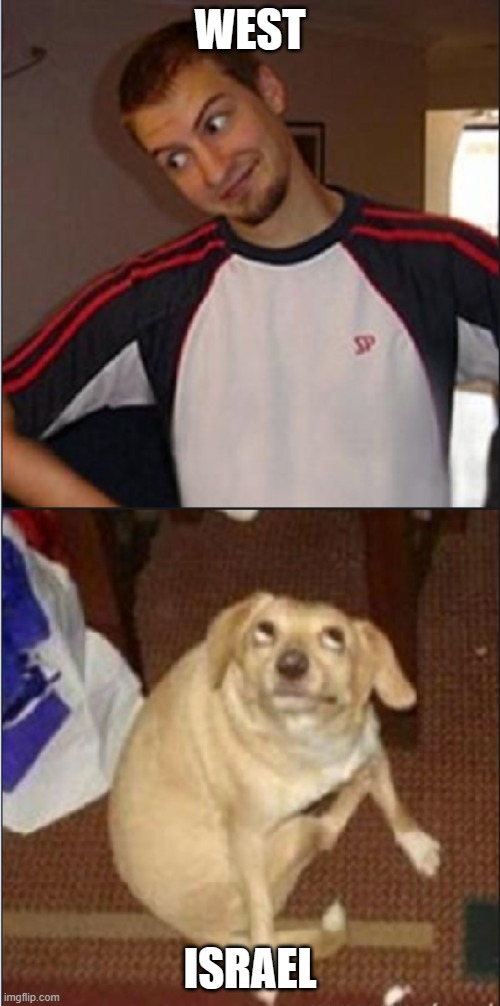 Oh you man + dog - Imgflip