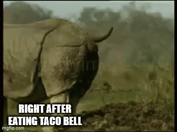 Just ate Taco Bell - Imgflip