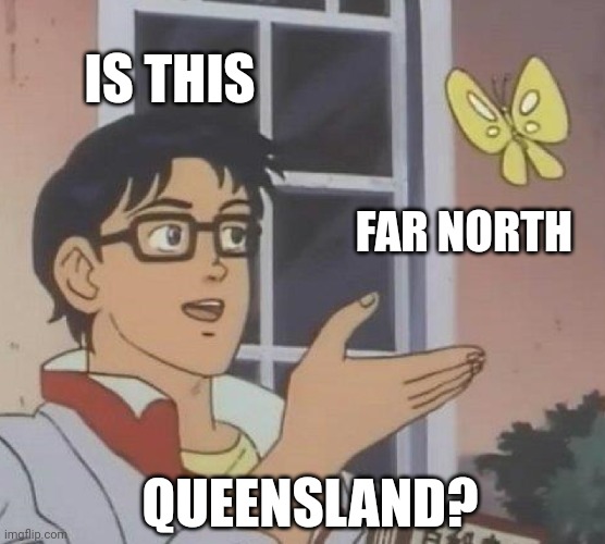 Is This A Pigeon Meme - Imgflip