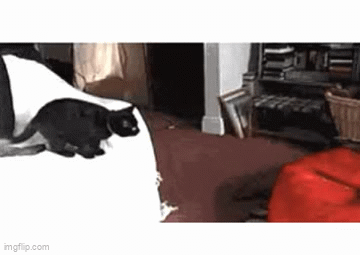 Impressive Leap ! - Imgflip