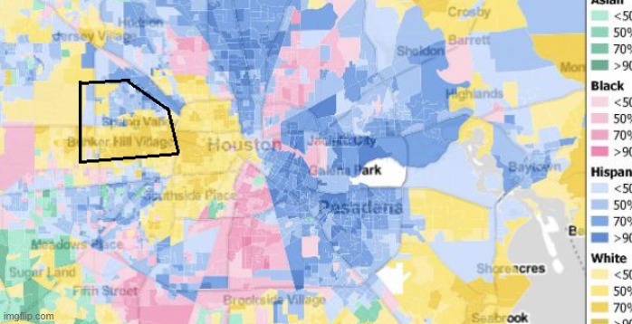 Houston’s racial demographics map. Aka proving It’s The most diverse ...