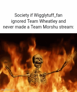 fixed Biden's propaganda (Remember, Team Morshu was made first) - Imgflip