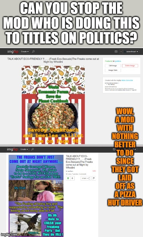 Some mod is abusing their position by changing titles - Imgflip
