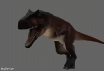 Animated GIF - Imgflip