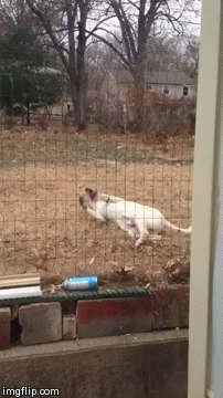 Caught in the act - Imgflip