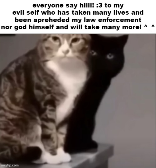 sillycatpost - Imgflip