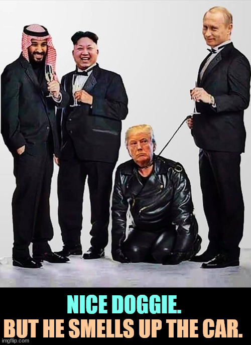 Dictators MBS, Kim, Putin and their pet clown Trump - Imgflip