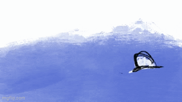 Whale jump by Saeho Oh - Imgflip