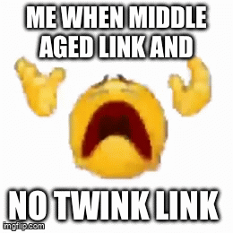 no twink link :( - Imgflip
