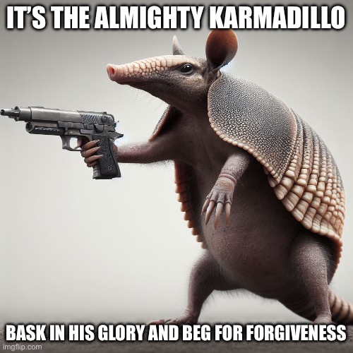 The almighty karmadillo - Imgflip