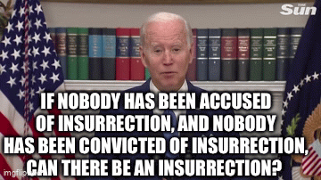 Insurrection in name only. Democrat hyperbole. - Imgflip