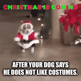 Santa Doge - Imgflip