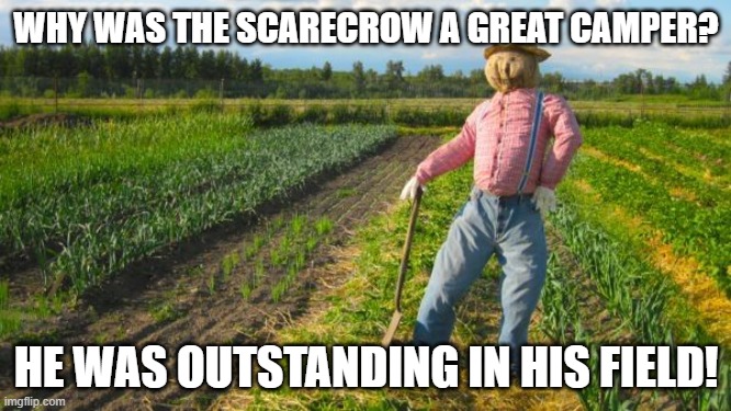 Scarecrow in field - Imgflip