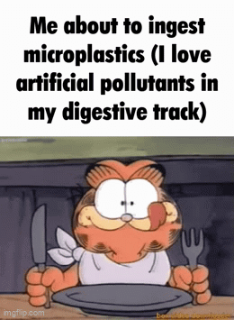 Animated GIF - Imgflip