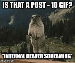 When a beaver spots Post-10 - Imgflip