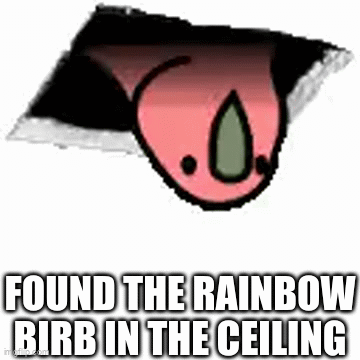 Rainbow birb in ceiling - Imgflip