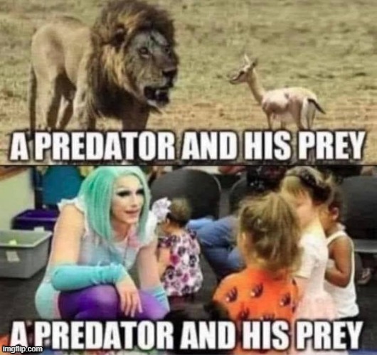 Pedo Queen - Imgflip