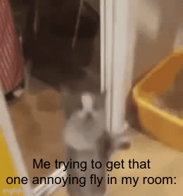 Always happens - Imgflip