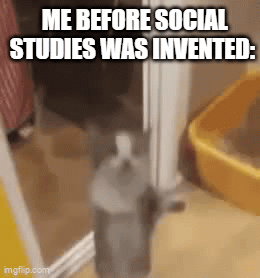 Before Social Studies - Imgflip