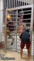 Wheen Escape Gets Your Trapped - Imgflip