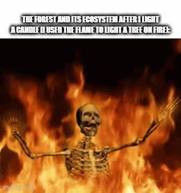 skeleton burning - Imgflip