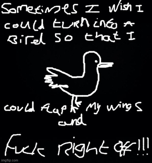 I saw a seagull flying around in the sky all free from worry earlier ...