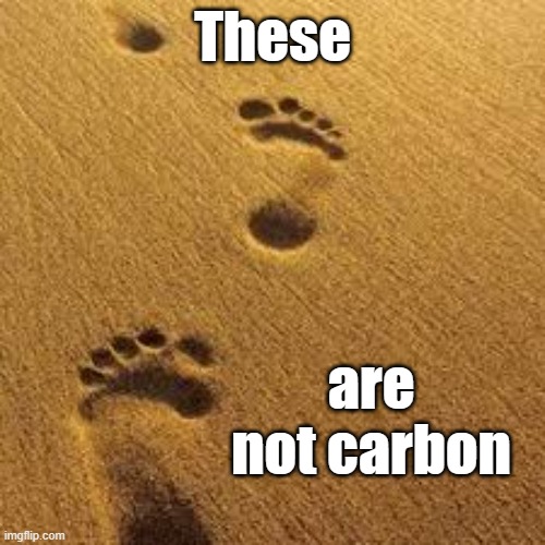 I still haven't found any carbon footprints. - Imgflip