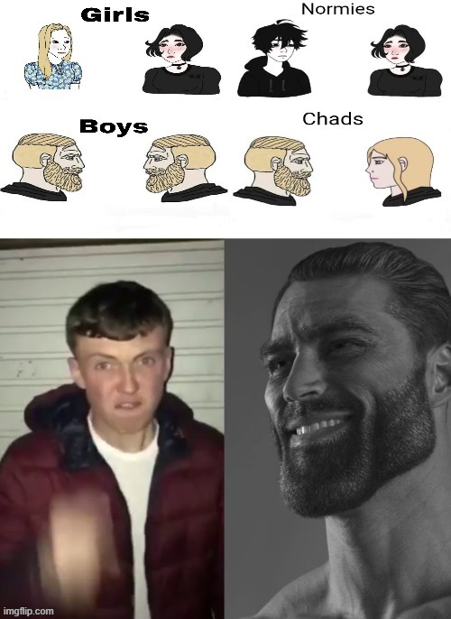 Chads vs normies better - Imgflip