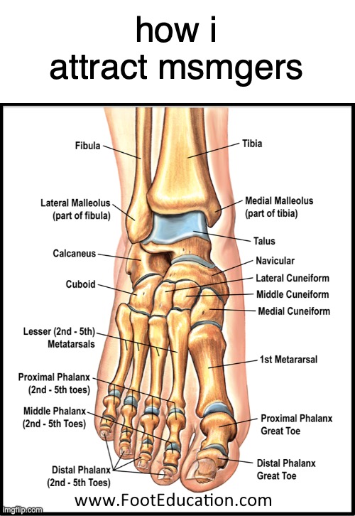 ur cuboid is rlly hot :rizz: - Imgflip