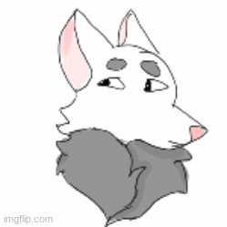 Animated GIF - Imgflip