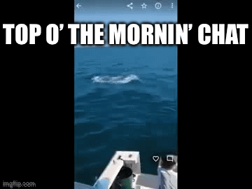 Hey chat, what are we gonna do today - Imgflip