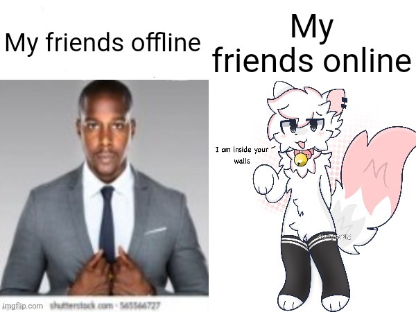 irl friends / online friends - Imgflip