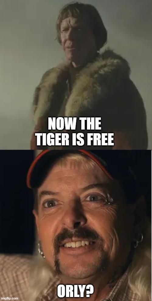 Now the tiger is free... - Imgflip