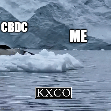 The WEF CBDC - Imgflip
