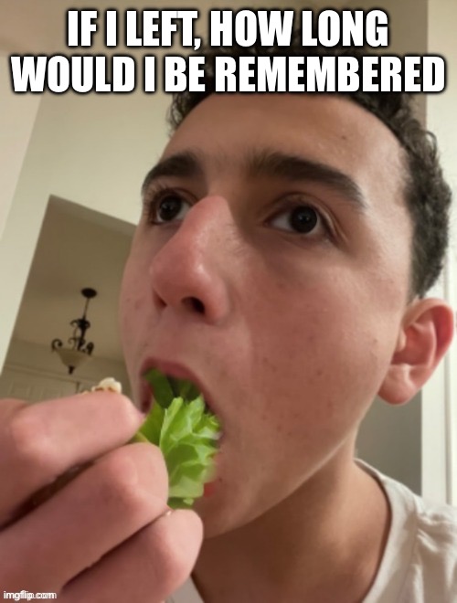 Not leaving, just wondering - Imgflip