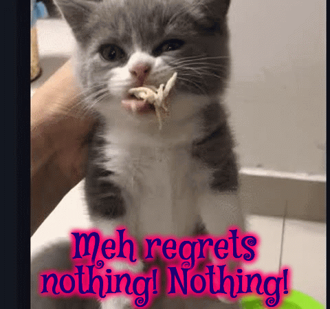 Regret Nothing - Imgflip