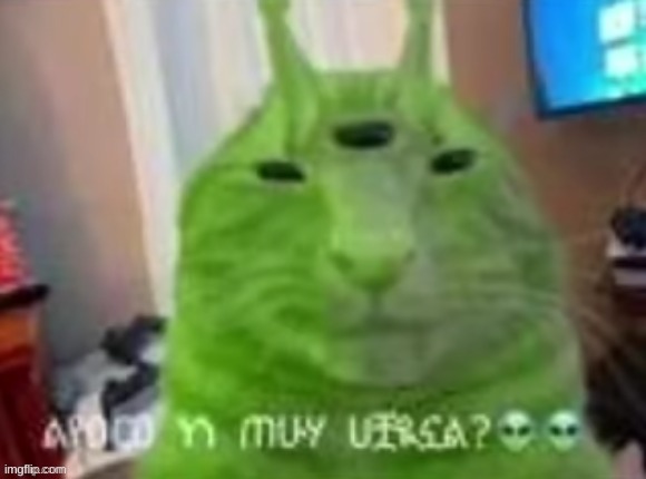 zaggle zeb - Imgflip