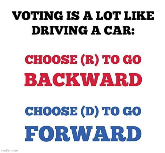 Voting is Like Driving - Imgflip