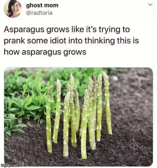 Imgflip