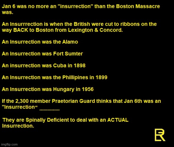 Insurrection??? - Imgflip