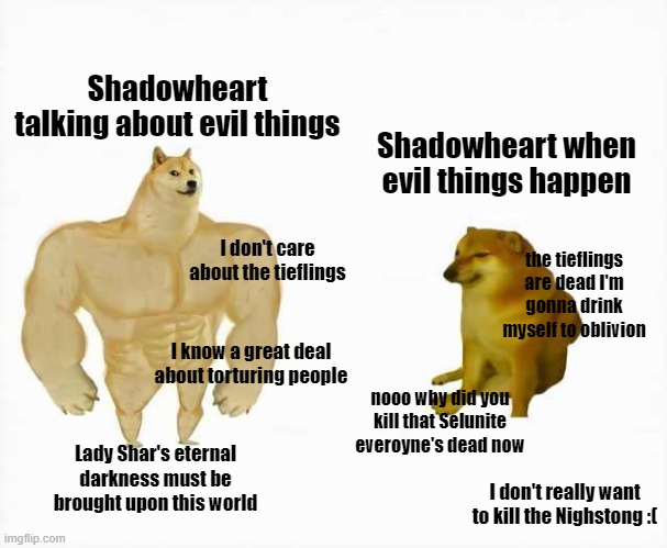 Faerun's worst Shar worshipper : r/BaldursGate3