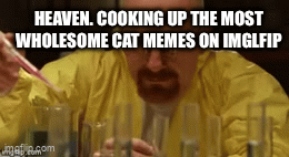 walter white cooking - Imgflip