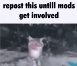 Animated GIF - Imgflip