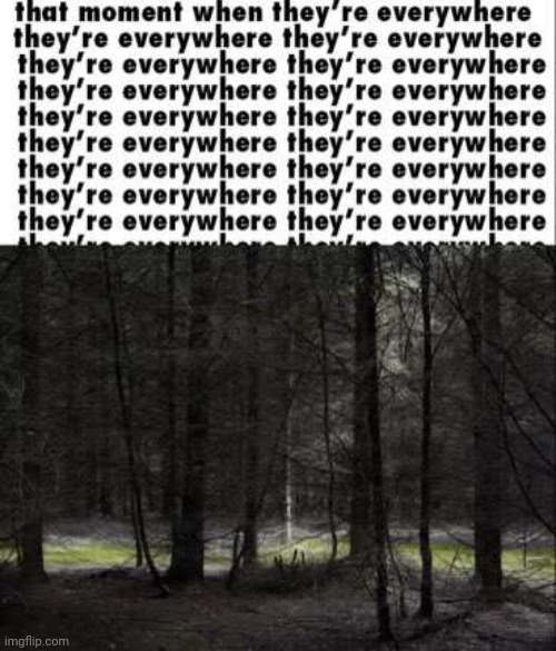 they're everywhere - Imgflip