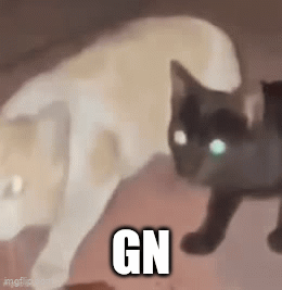 Cat getting dragged away - Imgflip